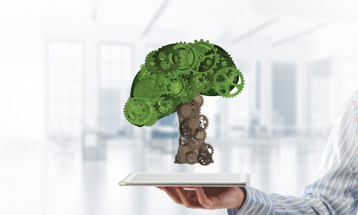 Nature Depends on Self-Organization - Dr. Kathy Allen