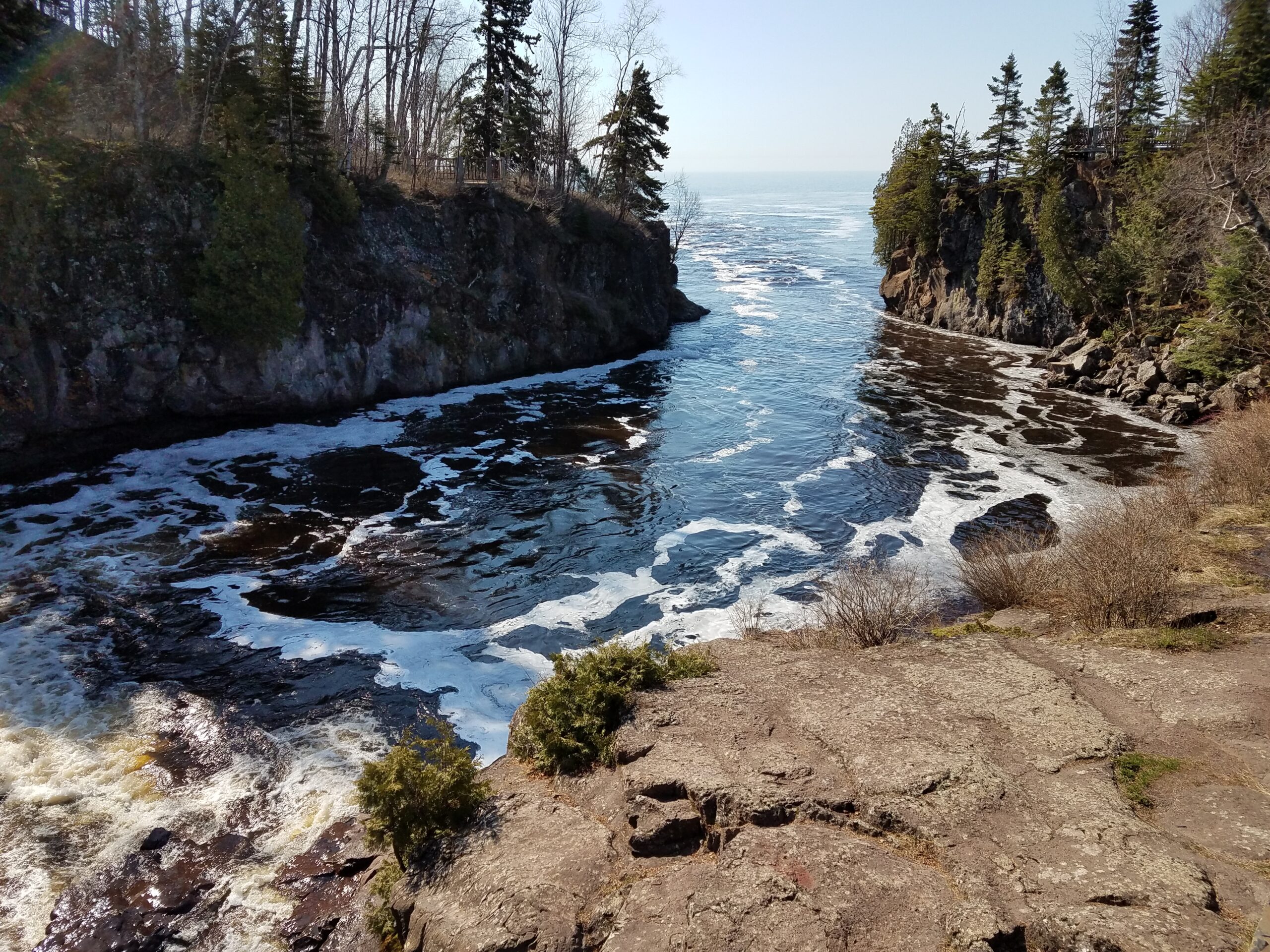 Water Finds a Way and We Should Too: Organizational Lessons from Water ...