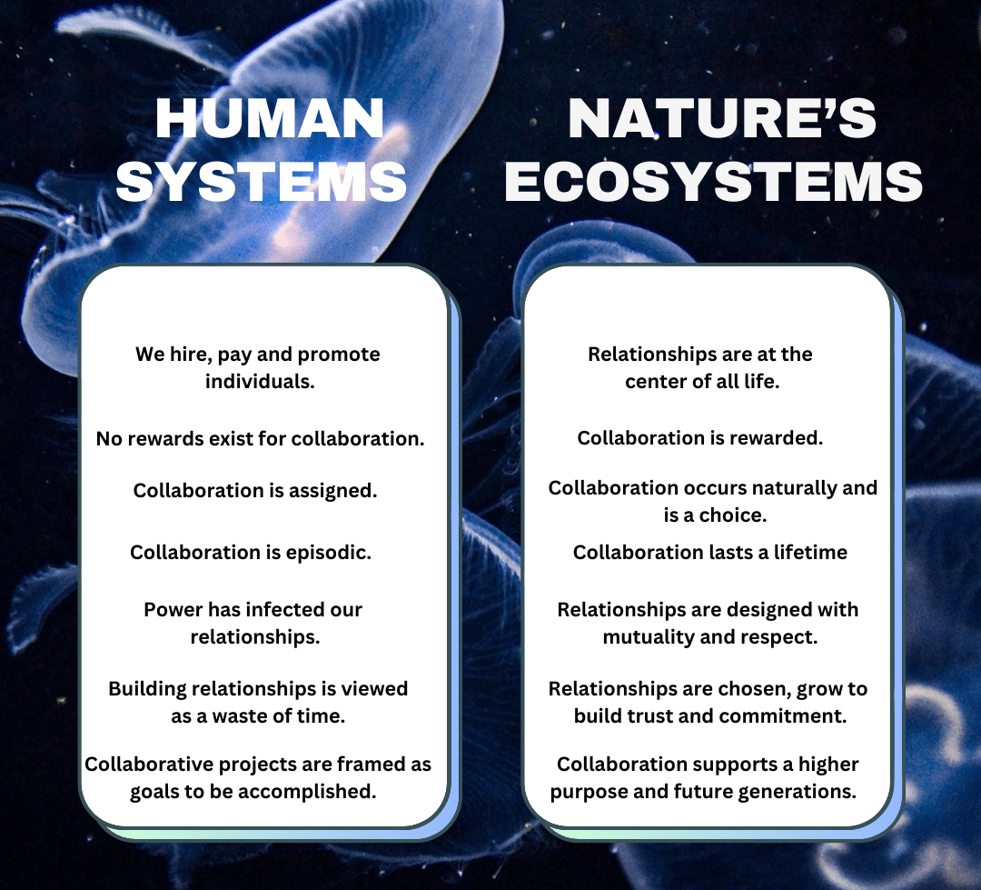 Nature's Lessons on Collaboration - Dr. Kathy Allen